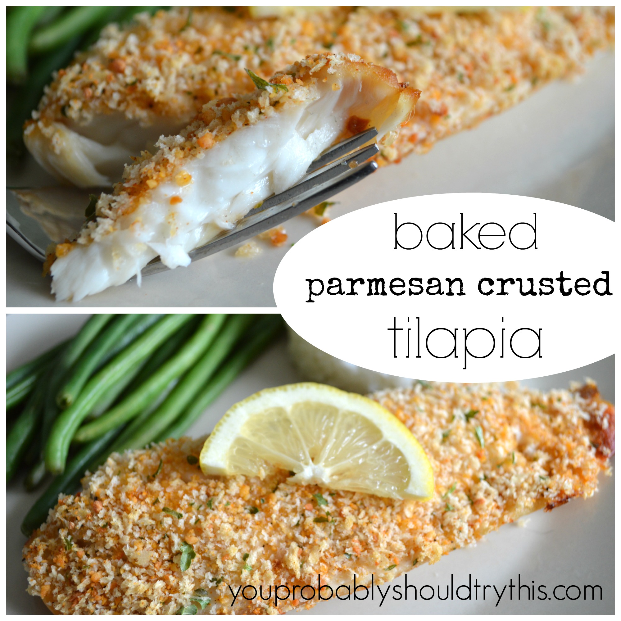Baked Parmesan Crusted Tilapia – you probably should try this